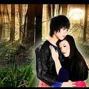 Nkauj hmoob - Various Artists, Yeej Koob, Ntsa Lab Thoj - mp3 download | lyric - NhacCuaTui